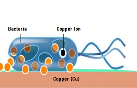 Scientific Explanation Copper – RukaInnovation